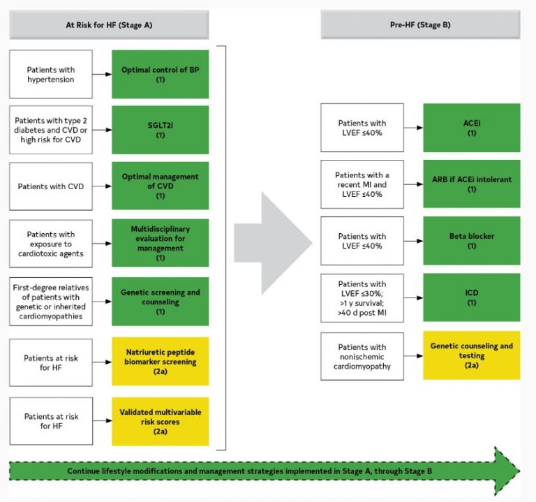 6. Stage B (Patients With Pre-HF)