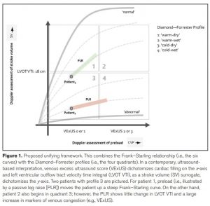 HEMODYNAMIC PROFILES