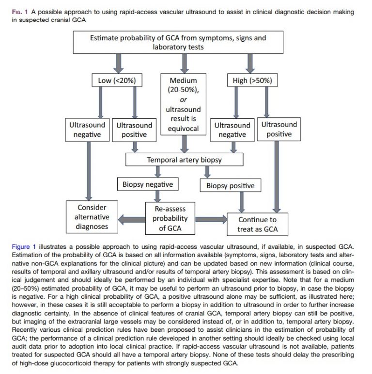 Which tests can be used to evaluate involvement of the aorta and its ...