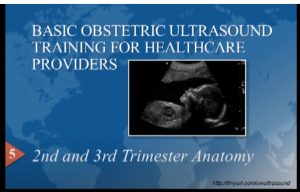 UW Department of Obstetrics & Gynecology