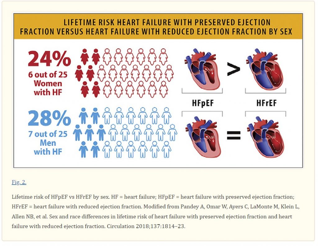 2.3. Incidence of HF