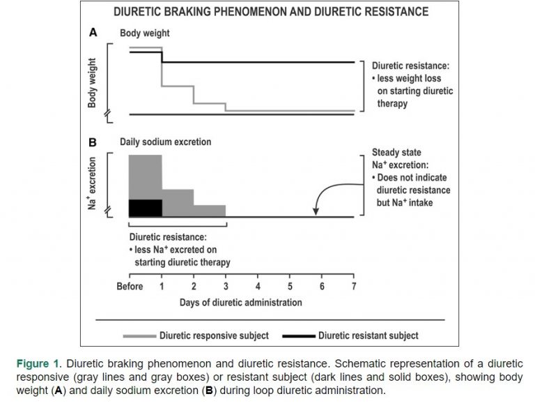 Loop Diuretics and Dosage