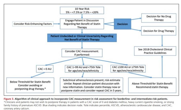 The interpretation and clinical response to a CAC score in borderline ...